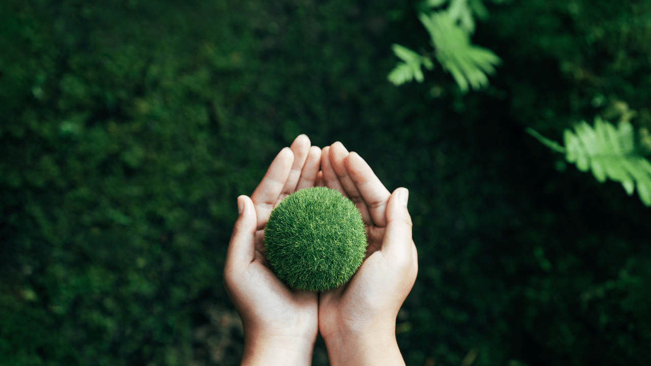 The Race to Net-Zero: How World Leaders Plan to Achieve their Carbon ...